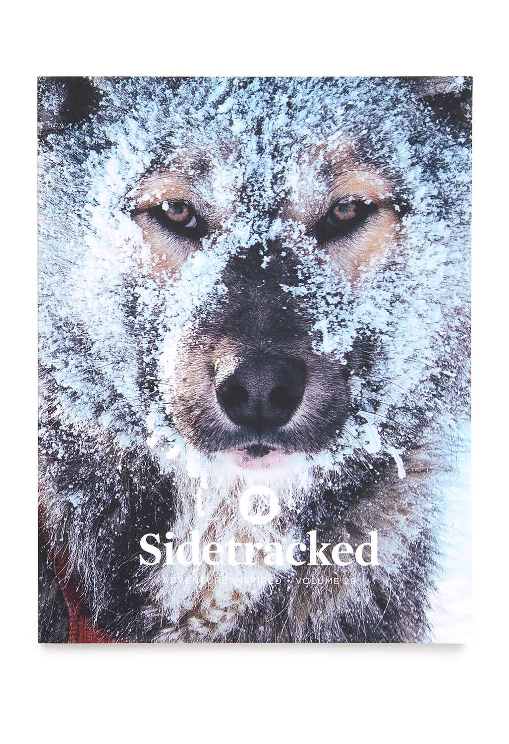 Sidetracked Volume 29 – Outsiders Store UK